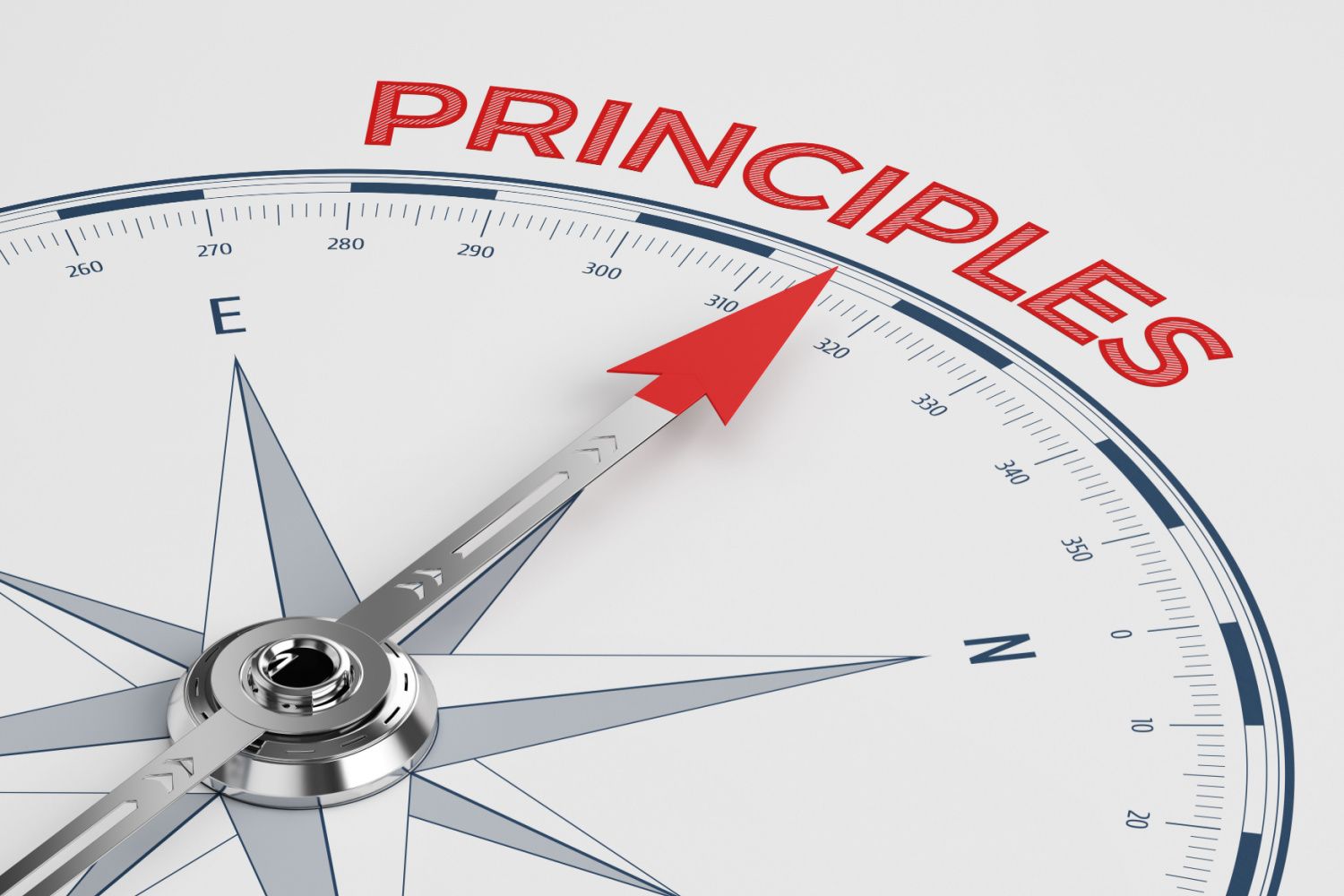 Do Principles Ever Die? | Starling Insights | Starling Insights Do Principles Ever Die? | Starling Insights | Starling Insights