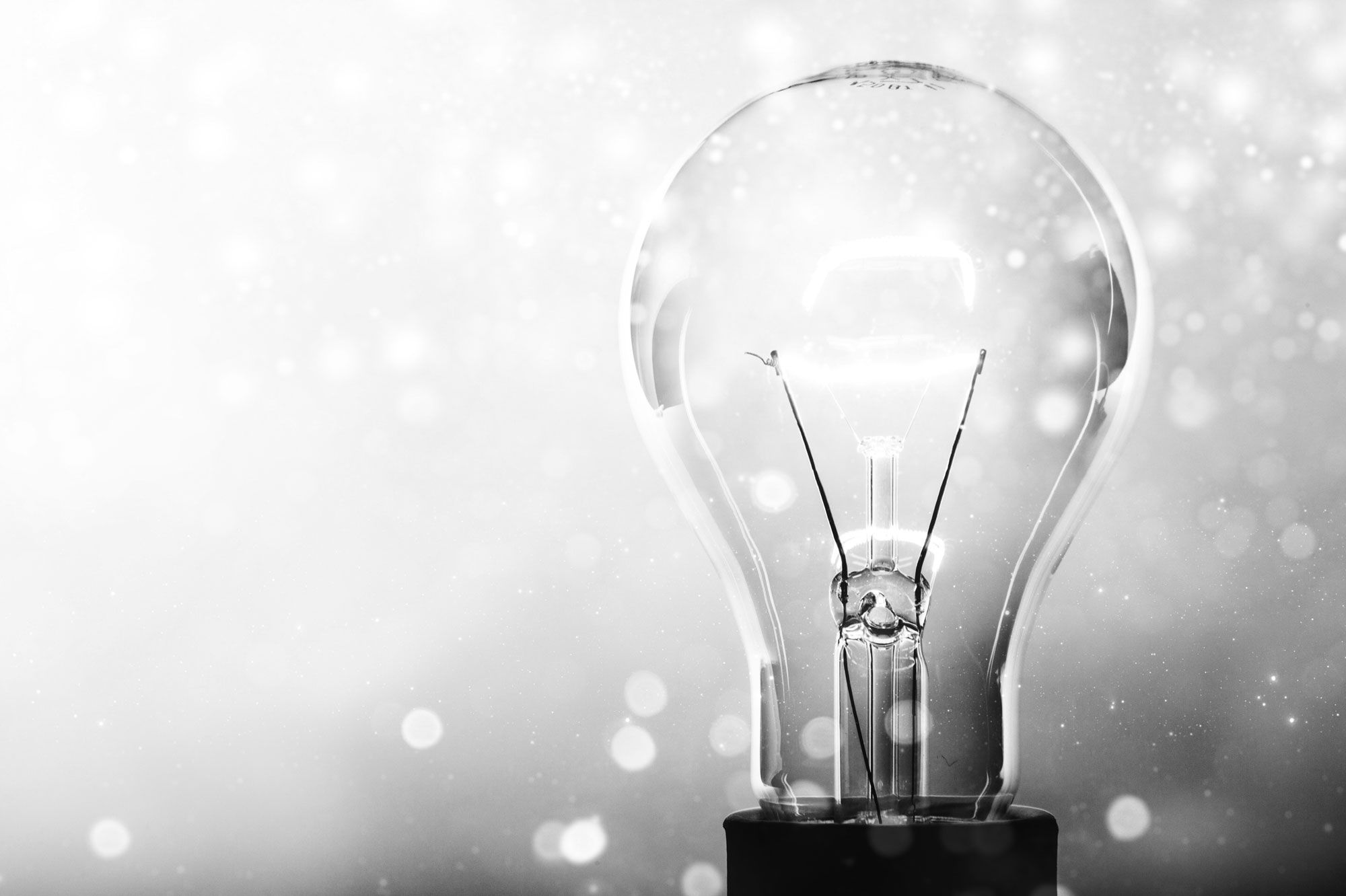 The 2023 Starling Compendium is now available - Starling Insights ... The 2023 Starling Compendium is now available - Starling Insights ...