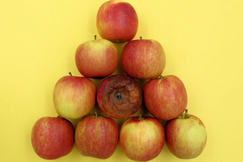 UK FCA Expands Non-Financial Misconduct Rules | Starling | Starling ...