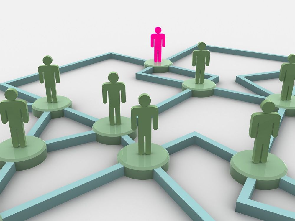 An Interview with Damon Centola - Starling Insights | Starling Insights