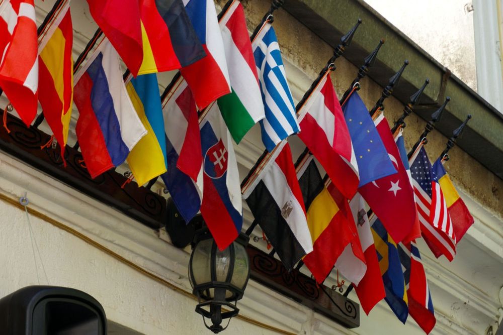 Preamble - Starling Insights | Starling Insights